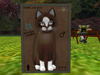 Second Life Marketplace - Chateau Cat - Coffee & Cream No. 1 Male 7T