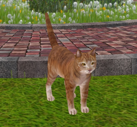 Second Life Marketplace - cat