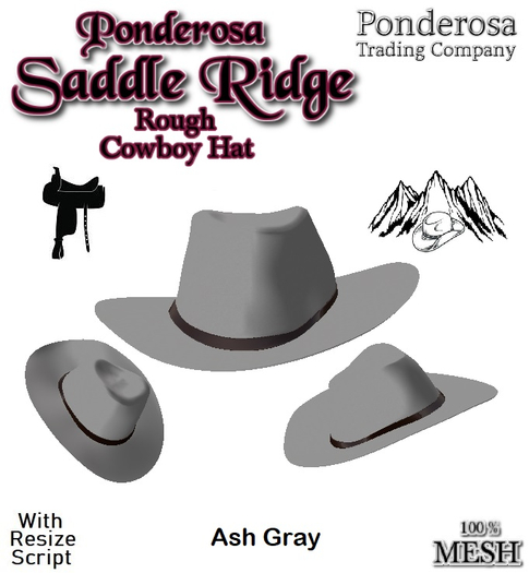 Second Life Marketplace - Saddle Ridge Rough Cowboy Hat - Ash Gray