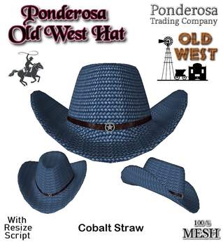 Second Life Marketplace - Ponderosa Old West Hat - Cobalt Straw