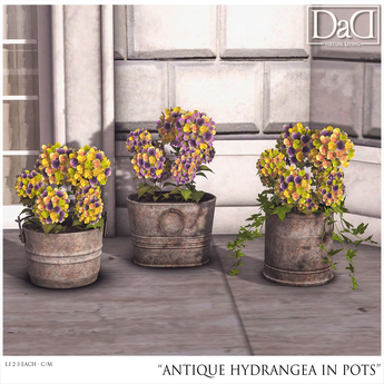 Second Life Marketplace - Antique Hydrangea in Pots
