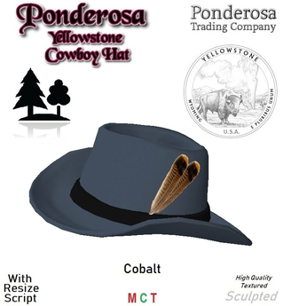 Second Life Marketplace - Ponderosa Yellowstone Cowboy Hat - Cobalt