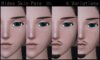Second Life Marketplace - M4 Skin Applier - Hideo Pale