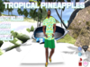 Second Life Marketplace - (GI) Tropical Pineapples