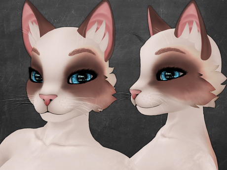 Second Life Marketplace - .{o}. Ragdoll // Apricot // Felis, BoM, BoMR