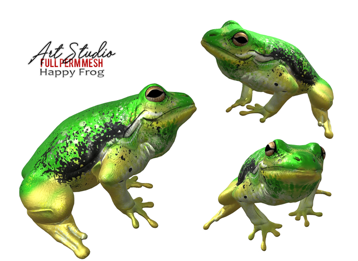 Second Life Marketplace - Art Studio.FULL PERM \\ Frog