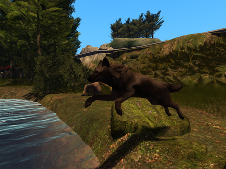 Second Life Marketplace - TWI Wolf Texture - Black & Brown Wolf