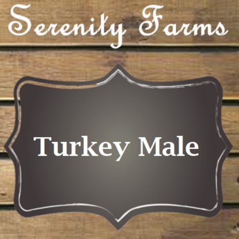 Second Life Marketplace - DFS Turkey Male (Actual Item Not Texture)