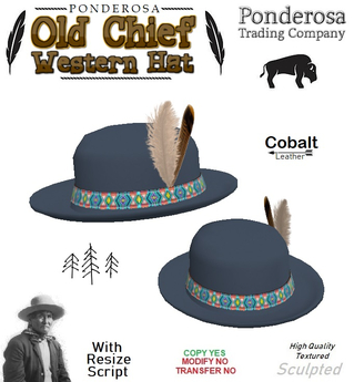 Second Life Marketplace - Old Chief Western Hat - Cobalt