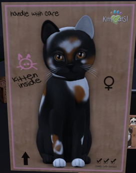 Second Life Marketplace - Chateau Cat - 3 Spot No. 2 - New Born Kitten