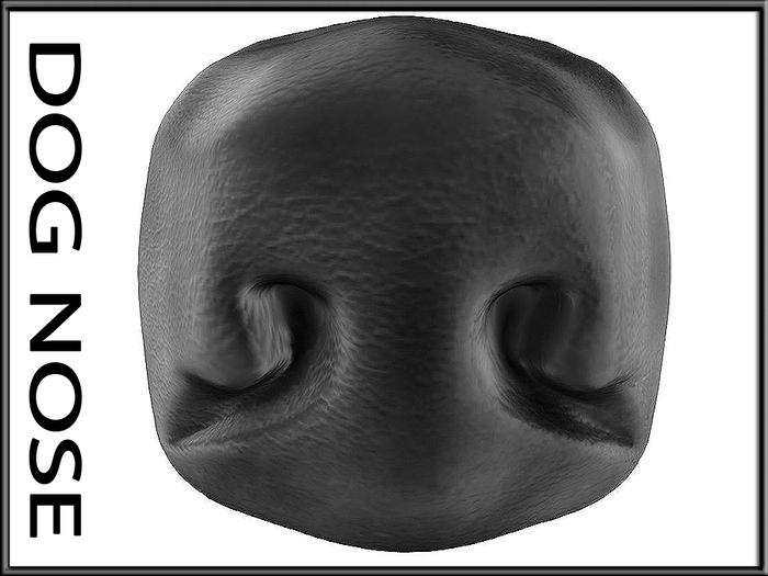 Second Life Marketplace - [Feliz] DOG NOSE - Micro and Regular Mesh ...