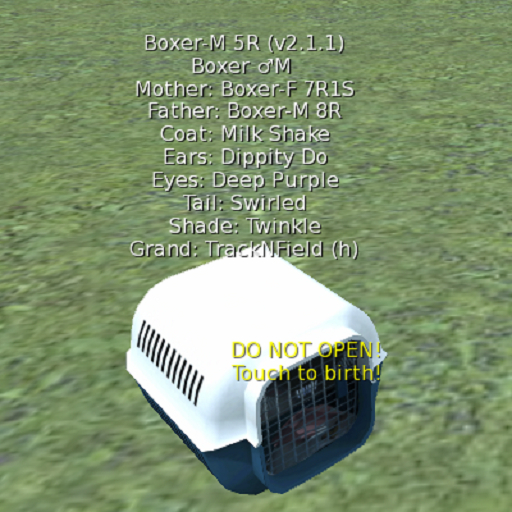 Second Life Marketplace - BB Boxer Male - 5 Rare Traits