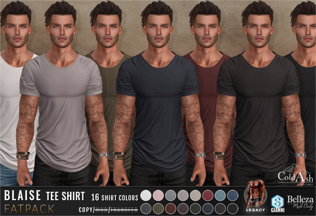 Second Life Marketplace - {COLD-ASH} Mens BLAISE Tee (FATPACK)