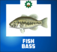 Second Life Marketplace - DFS FISH BASS (texture)