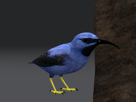 Second Life Marketplace - GD MESH FULL PERM BIRD TRUNK HOUSE BIRDS