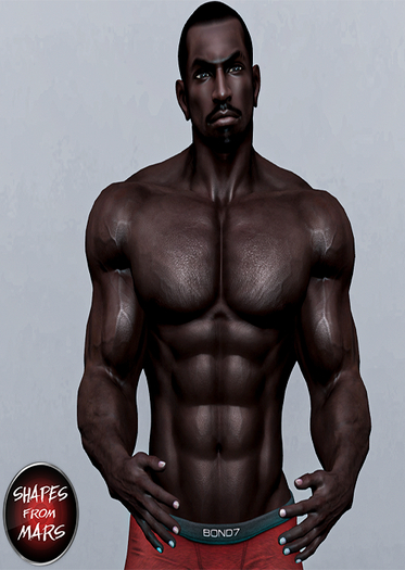 Second Life Marketplace - [SFM] Terrance Male Shape ! AESTHETIC - Bento ...