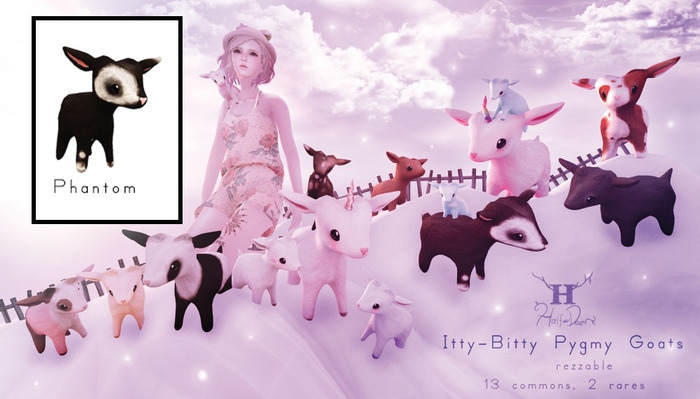 Second Life Marketplace - +H-Dr+ Itty-Bitty Pygmy Goat - Phantom (Rez)
