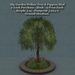 Second Life Marketplace - My Garden Willow Tree & Poppies Med