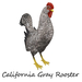 Second Life Marketplace - Barnyard Bird Nest - Rooster - California Gray