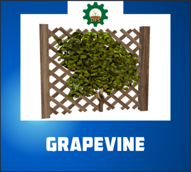 Second Life Marketplace - DFS GRAPEVINE (texture)