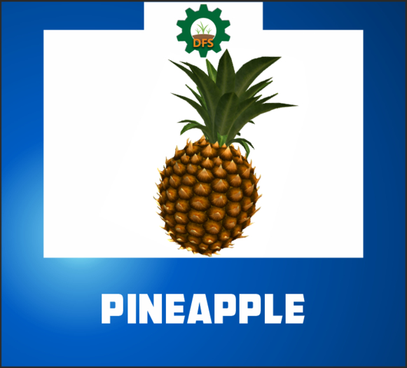 Second Life Marketplace - DFS PINEAPPLE (texture)