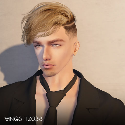 Second Life Marketplace - WINGS-HAIR-TZ0318 Morandi (Pack)
