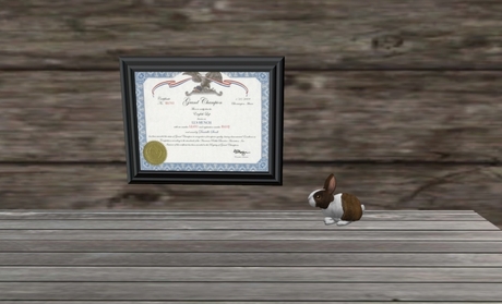 Second Life Marketplace - Grand Champion Rabbit Certificate