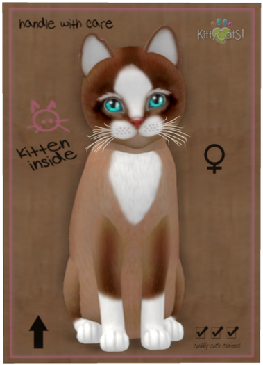 Second Life Marketplace - KittyCatS Box - Chateau Cat - Toffee Caramel