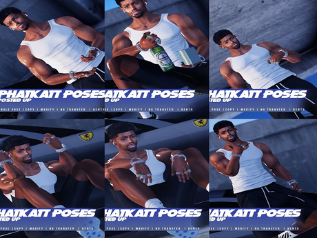 Second Life Marketplace - PHATKATT POSES:: POSTED UP POSEPACK