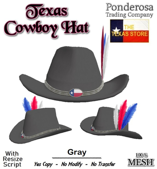 Second Life Marketplace - Texas Cowboy Hat - Gray