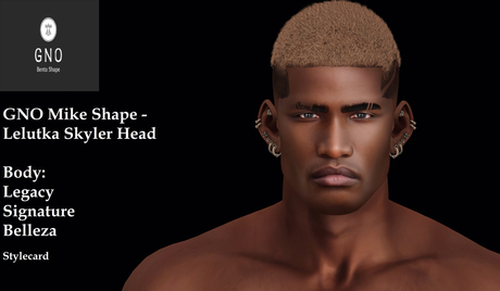 Second Life Marketplace - GNO Mike Shape - Lelutka Skyler Head 1.2 (2.5 ...