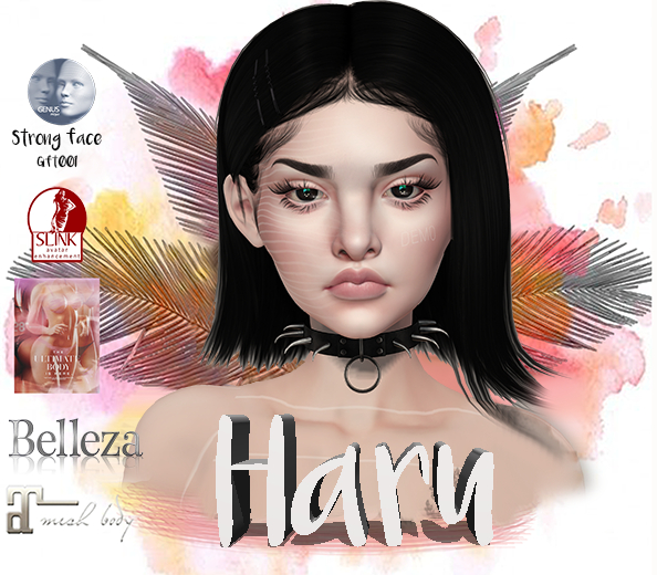 Second Life Marketplace - Ailhin. Haru Shape Genus, Legacy, HG, B-Freya ...