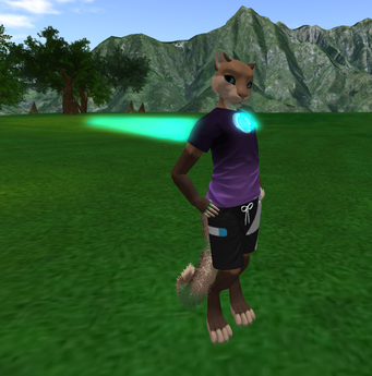 Second Life Marketplace - [SELVA] Chronal Accelerator