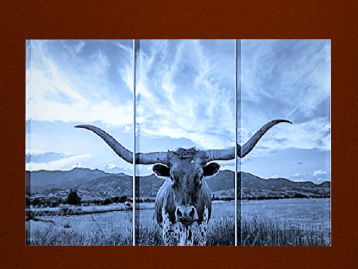 Second Life Marketplace - No Frame Mirror Image Wall Art Longhorn Bull ...