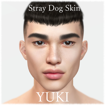 Second Life Marketplace - [NB]Yuki Shape For LeLutka Skyler Head 2.0