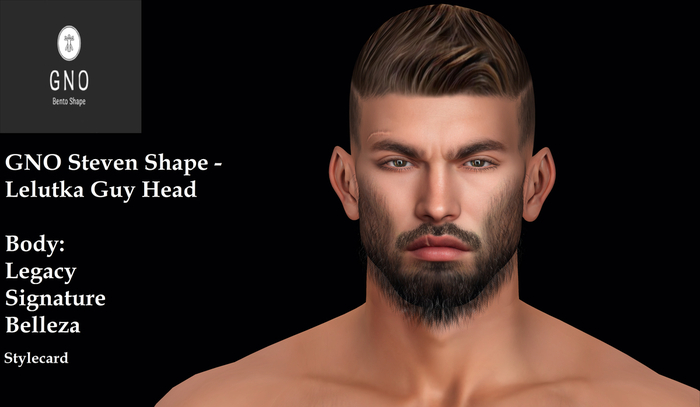 Second Life Marketplace - GNO Steven Shape - Lelutka Guy Head