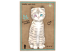 Second Life Marketplace - KittyCatS Box - 9 T - M - Toyger - Snow