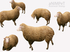 Second Life Marketplace - AP042 Animpet Full Perm Animesh Sheep