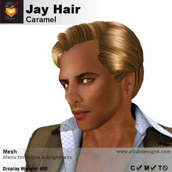 Second Life Marketplace - A&A Jay Hair Caramel V2, boxed, FUNCTIONAL DEMO