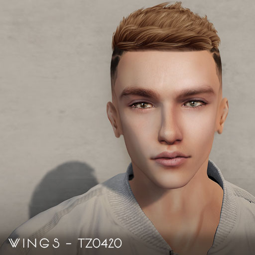Second Life Marketplace - WINGS-HAIR-TZ0420 Gary (Pack)