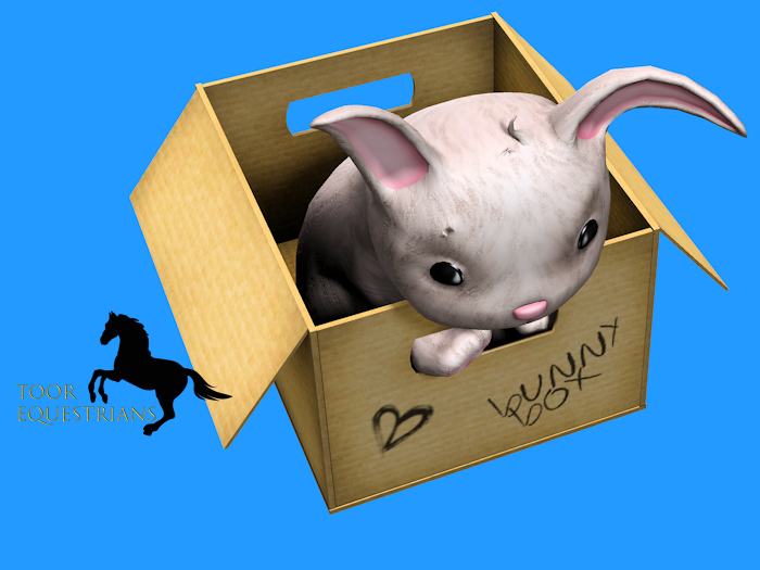 Second Life Marketplace - Bunny gacha 07 - box bunny RARE