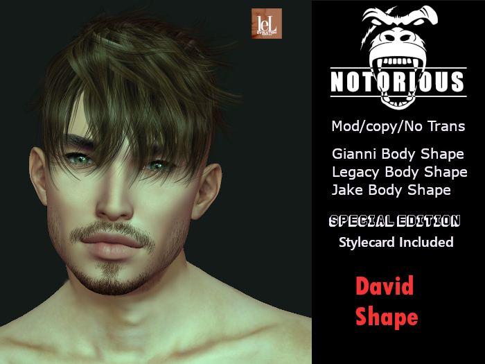 Second Life Marketplace - - Notorious - David shape for Lelutka skyler head