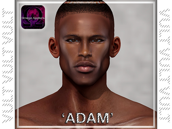Second Life Marketplace - [VULT] ADAM SKIN OMEGA APPLIER & BOM