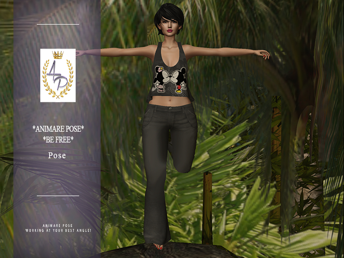 Second Life Marketplace - *Animare Poses* - Be Free - Unisex Pose ...