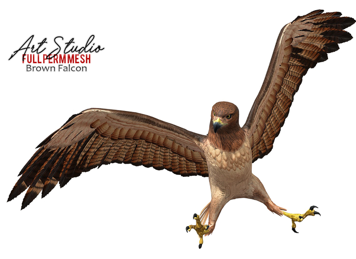 Second Life Marketplace - Art Studio.FULL PERM \\ Brown Falcon