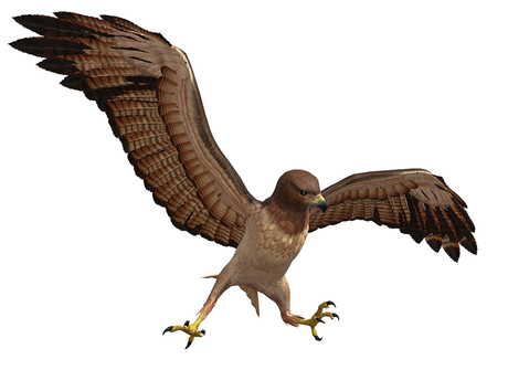 Second Life Marketplace - Art Studio.FULL PERM \\ Brown Falcon
