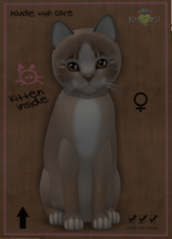 Second Life Marketplace - Kitty CatS Box - New Born Kitten. V. 1.62