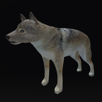Second Life Marketplace - Wolf Family (5)