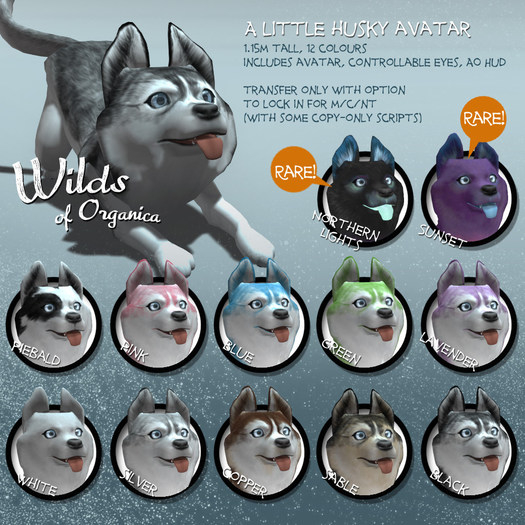 Second Life Marketplace - [ WoO ] A Little Husky (Sable)(T)