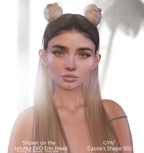 Second Life Marketplace Cassies Lelutka Shape 002 V20